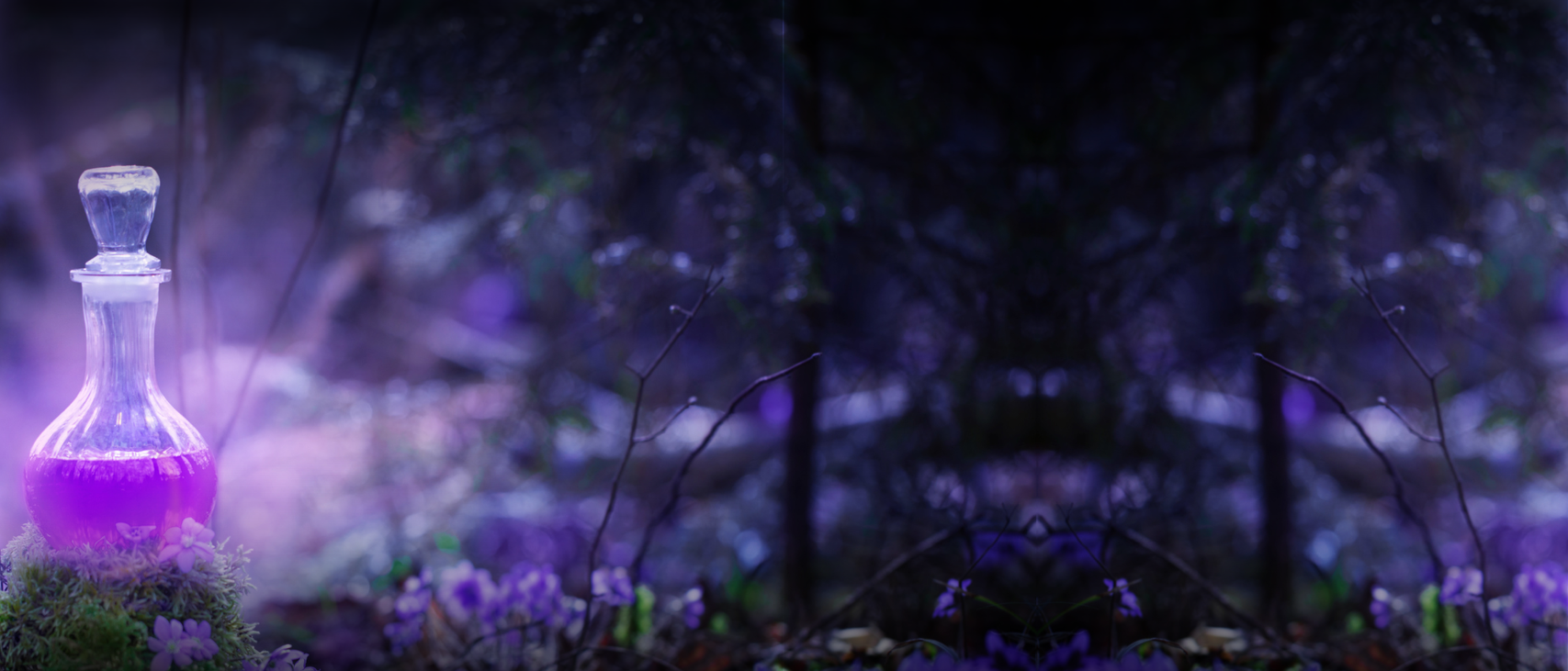 Signed Special Edition Romantasy Giveaway – Lighting Conjurer Books, LLC